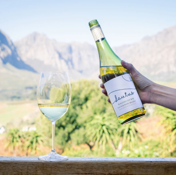 Shop Lautus Non-Alcoholic Wines - No & Low · No & Low